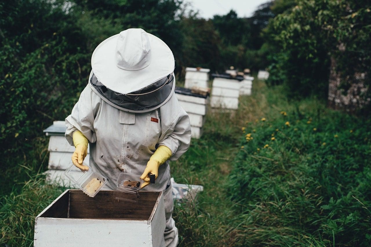 Beekeeping Speaker | Presentations & Speakers