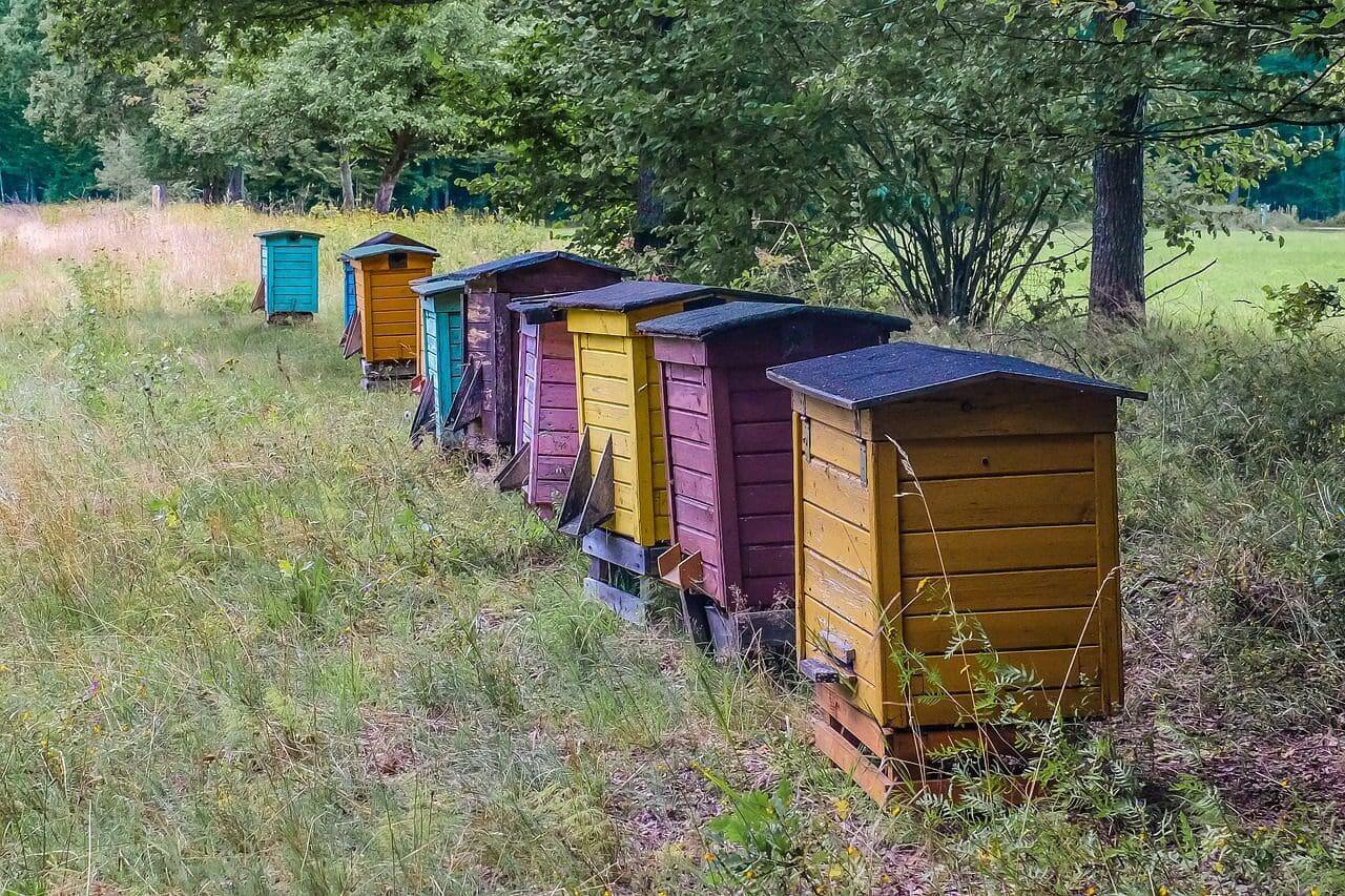 RIBA Newsletters | Rhode Island Beekeeping News by Rhode Island ...