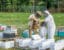 Honeybee Conservation | Rhode Island Beekeepers Association