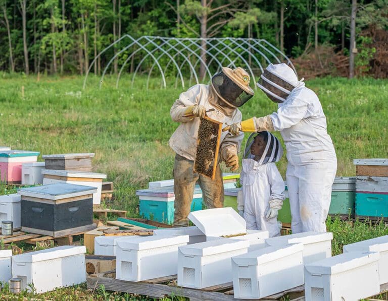 Honeybee Conservation | Rhode Island Beekeepers Association