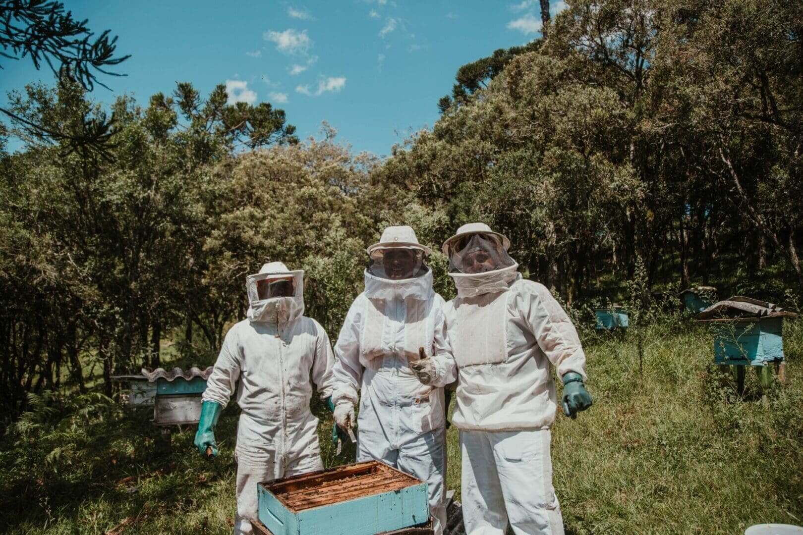Disclaimer | Terms of Use by Rhode Island Beekeepers