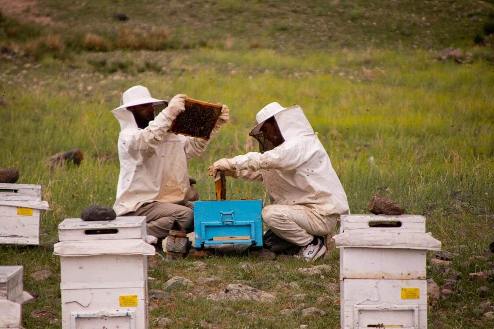 Beekeeping Resources for Apiarists | RI Beekeepers