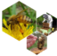 Honeybee Conservation | Rhode Island Beekeepers Association